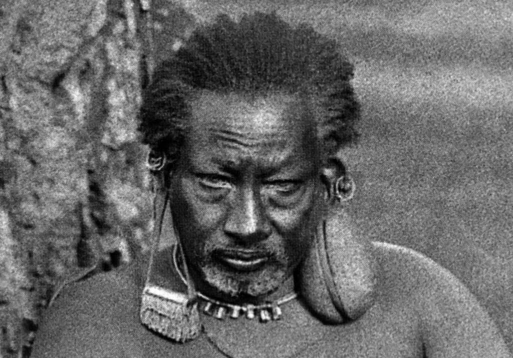 Cycle du Guerrier 1-6 | Journal de l'Ecocentre